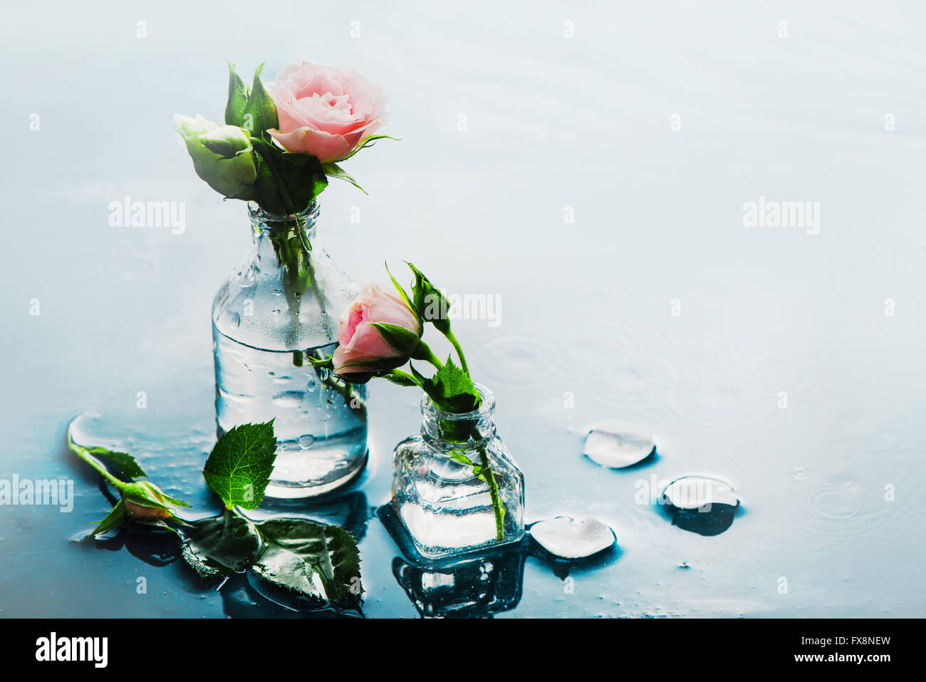 Miniature roses in high key Stock Photo - Alamy