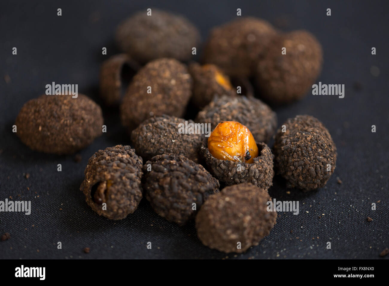Butana hi-res stock photography and images - Alamy