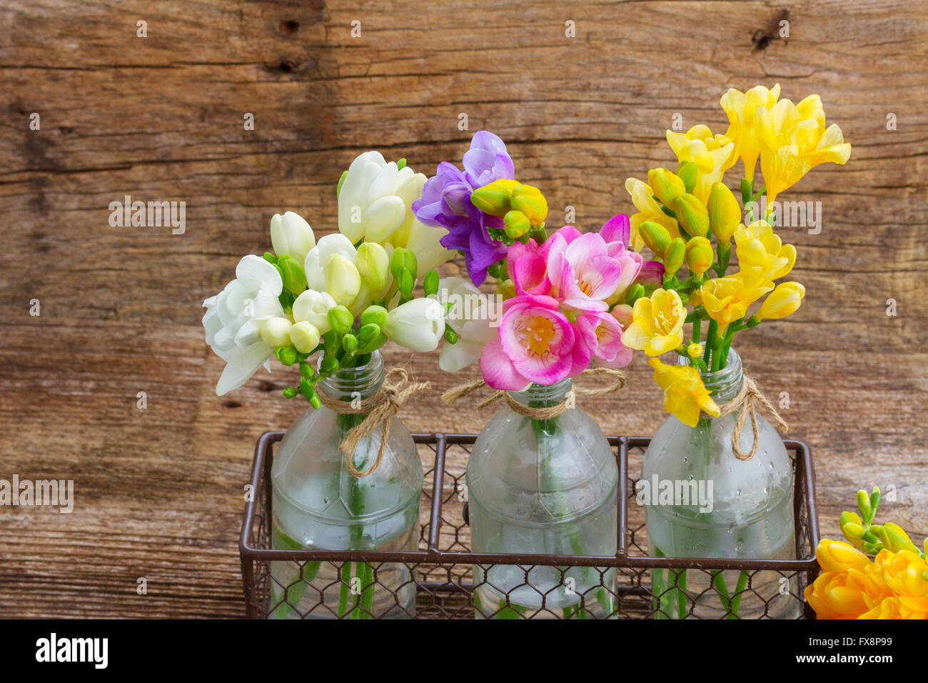 Freesias garden border hi-res stock photography and images - Alamy