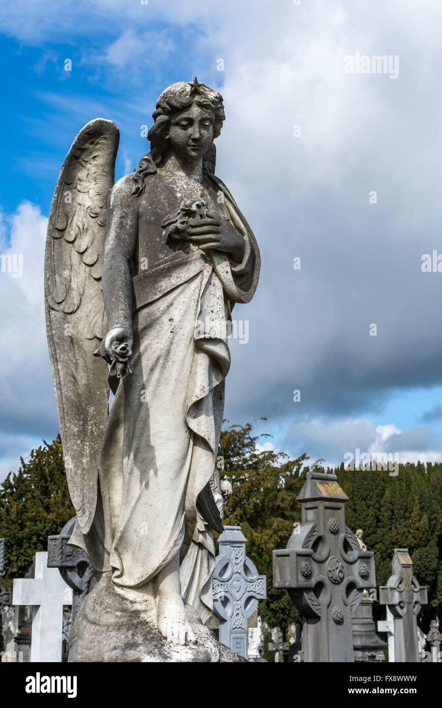 An angel holy statue stands above graves in Glasnevin Cemetery in ...