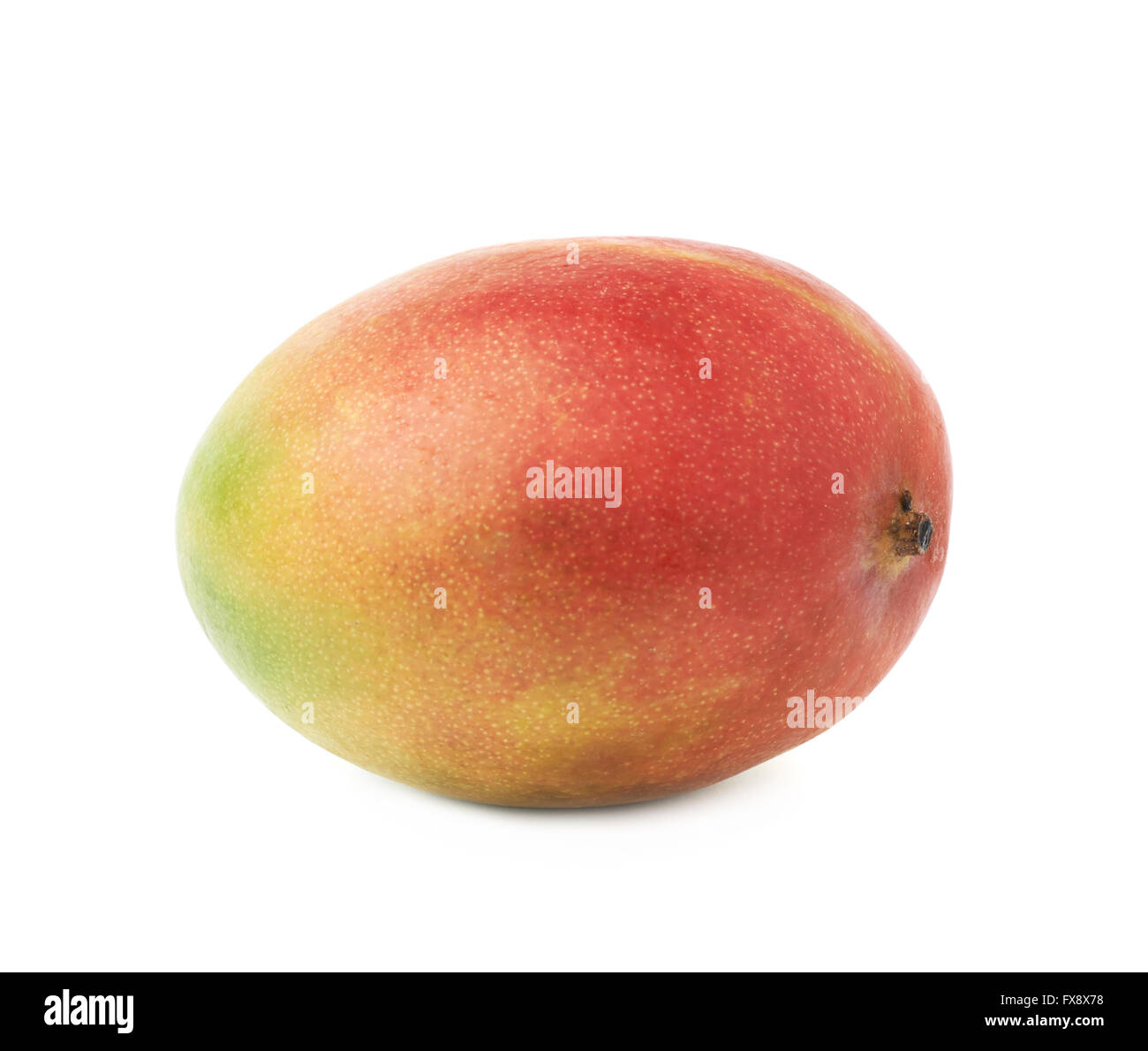Single mango fruit isolated Stock Photo - Alamy