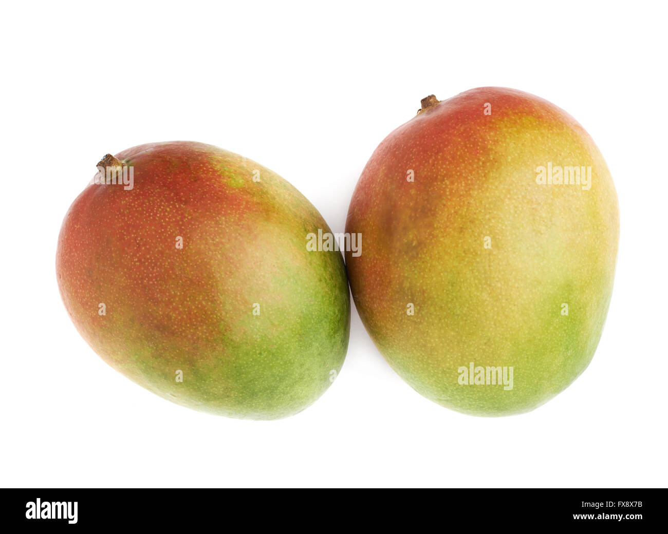 Two mango fruits isolated Stock Photo - Alamy