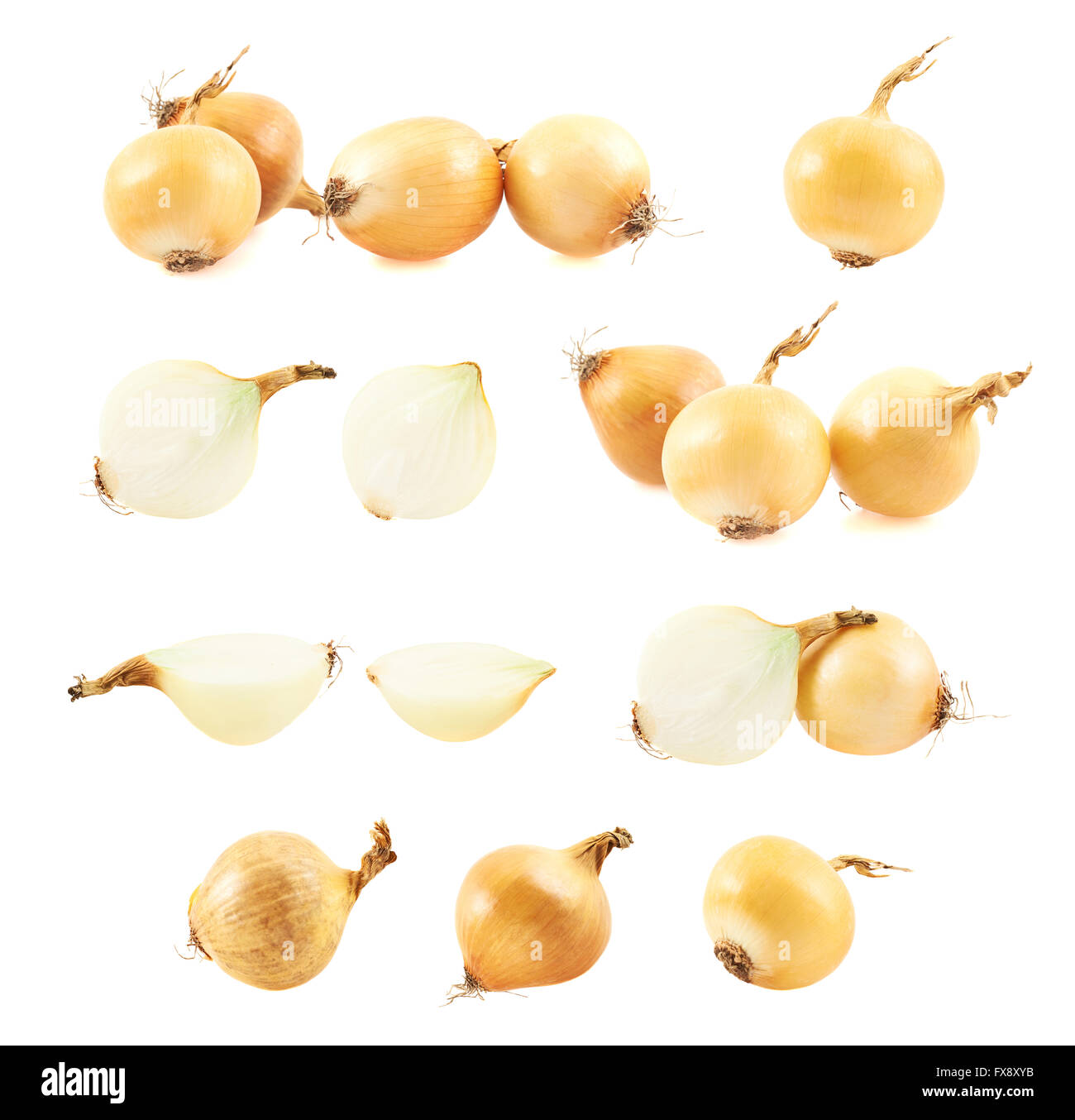 Set of multiple onion compositions Stock Photo - Alamy