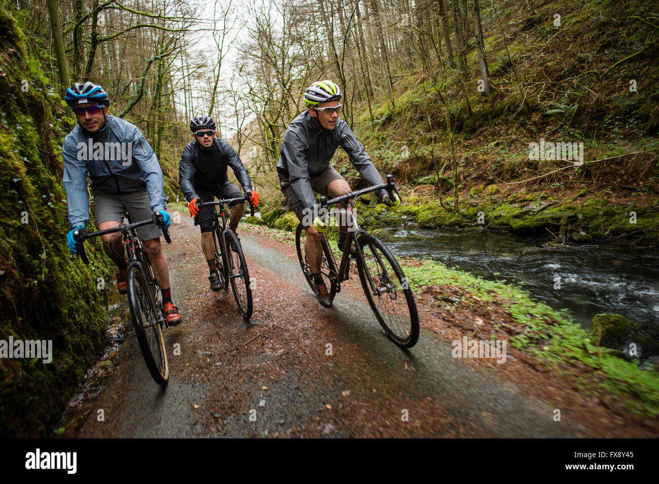 A group of friends cycling together In the hills and woodlands around ...