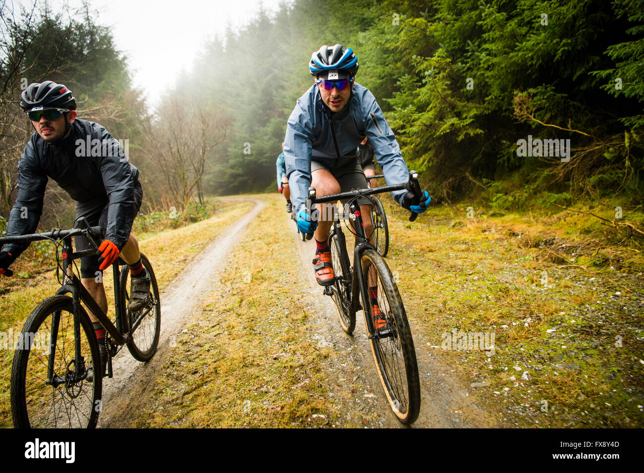 A group of friends cycling together In the hills and woodlands around ...