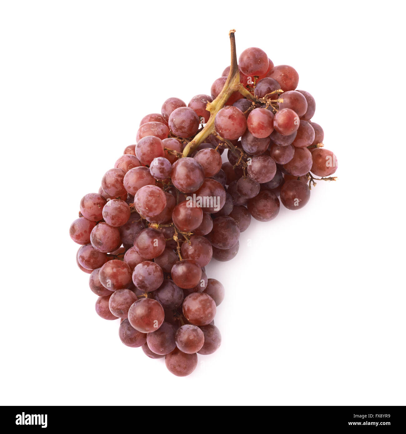 Branch of the dark grape isolated Stock Photo - Alamy