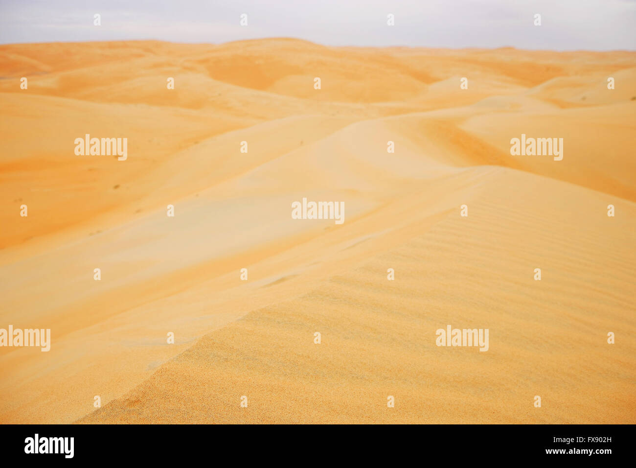 Sub saharan desert hi-res stock photography and images - Alamy
