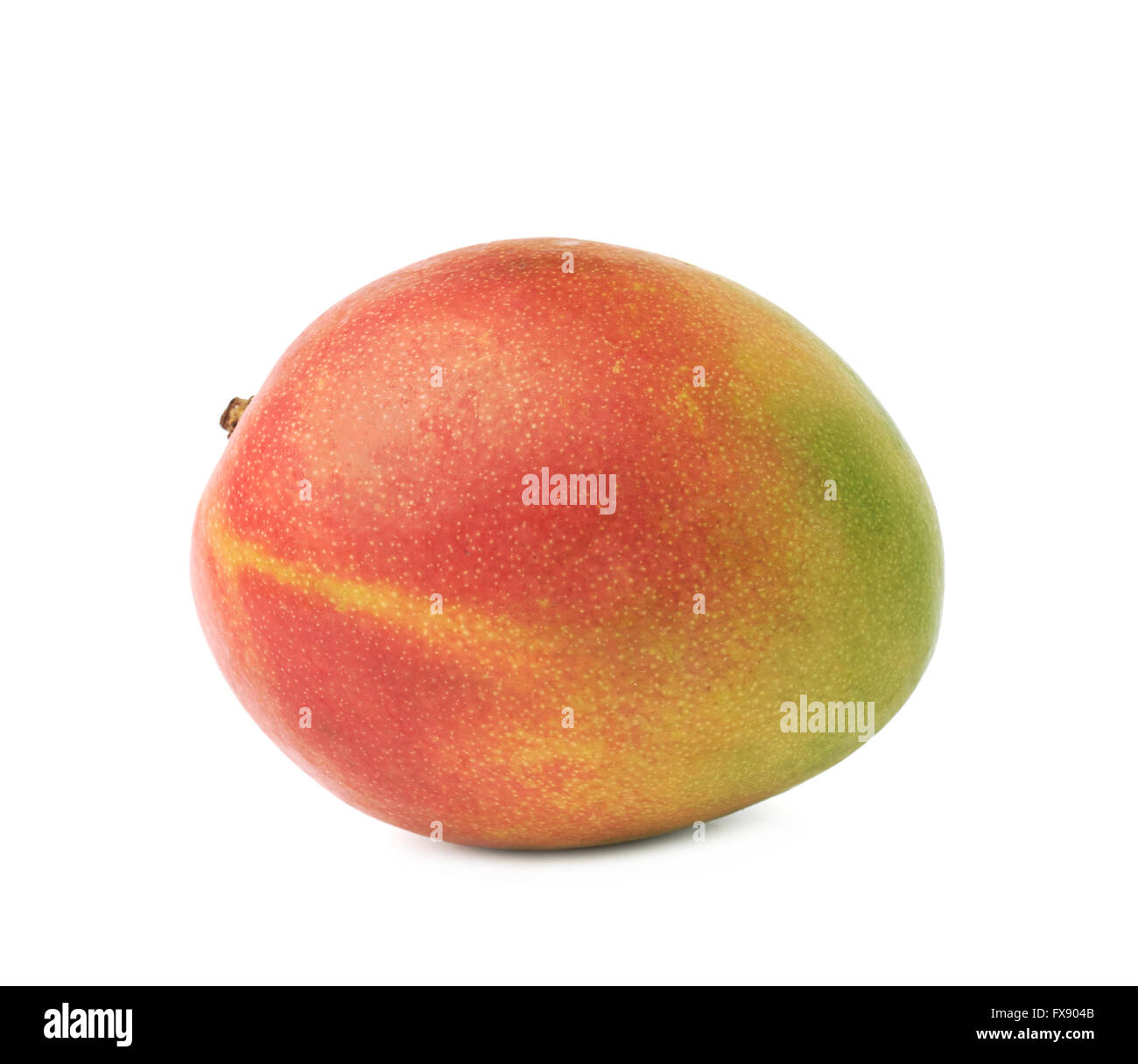 Single mango fruit isolated Stock Photo - Alamy