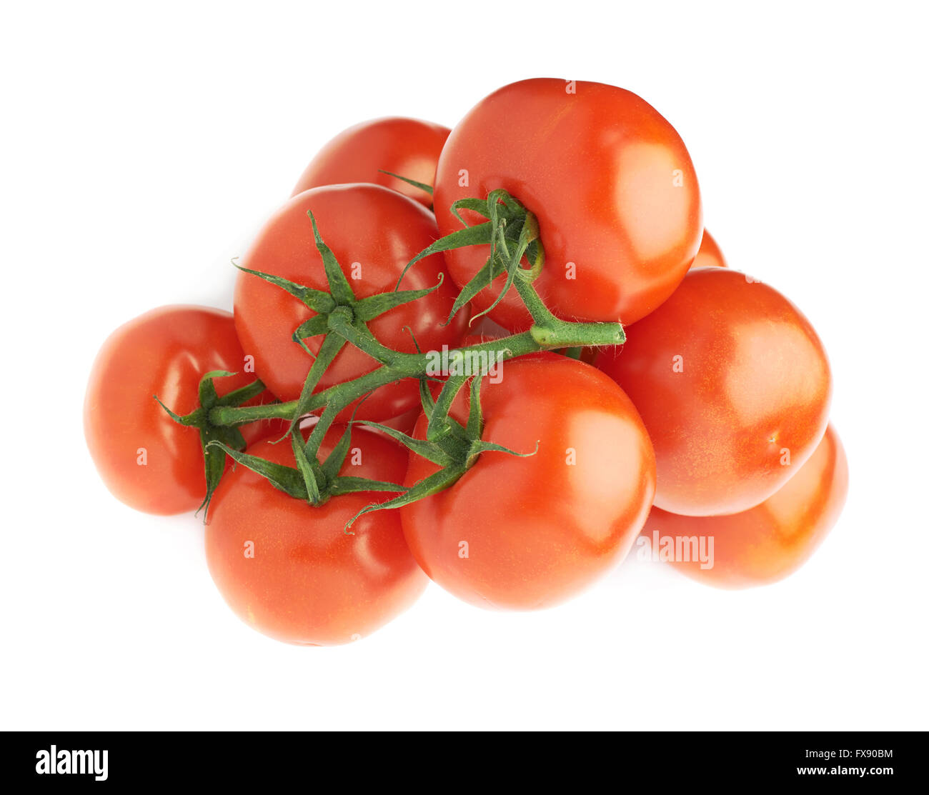 Multiple red tomatoes on a single stem Stock Photo - Alamy