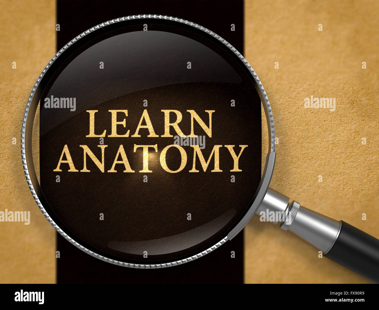 Learn Anatomy through Loupe on Old Paper Stock Photo - Alamy