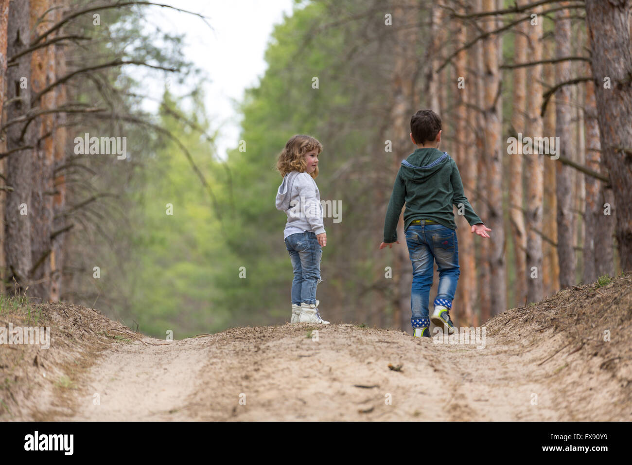 Children walking together in a pine forest Stock Photo - Alamy