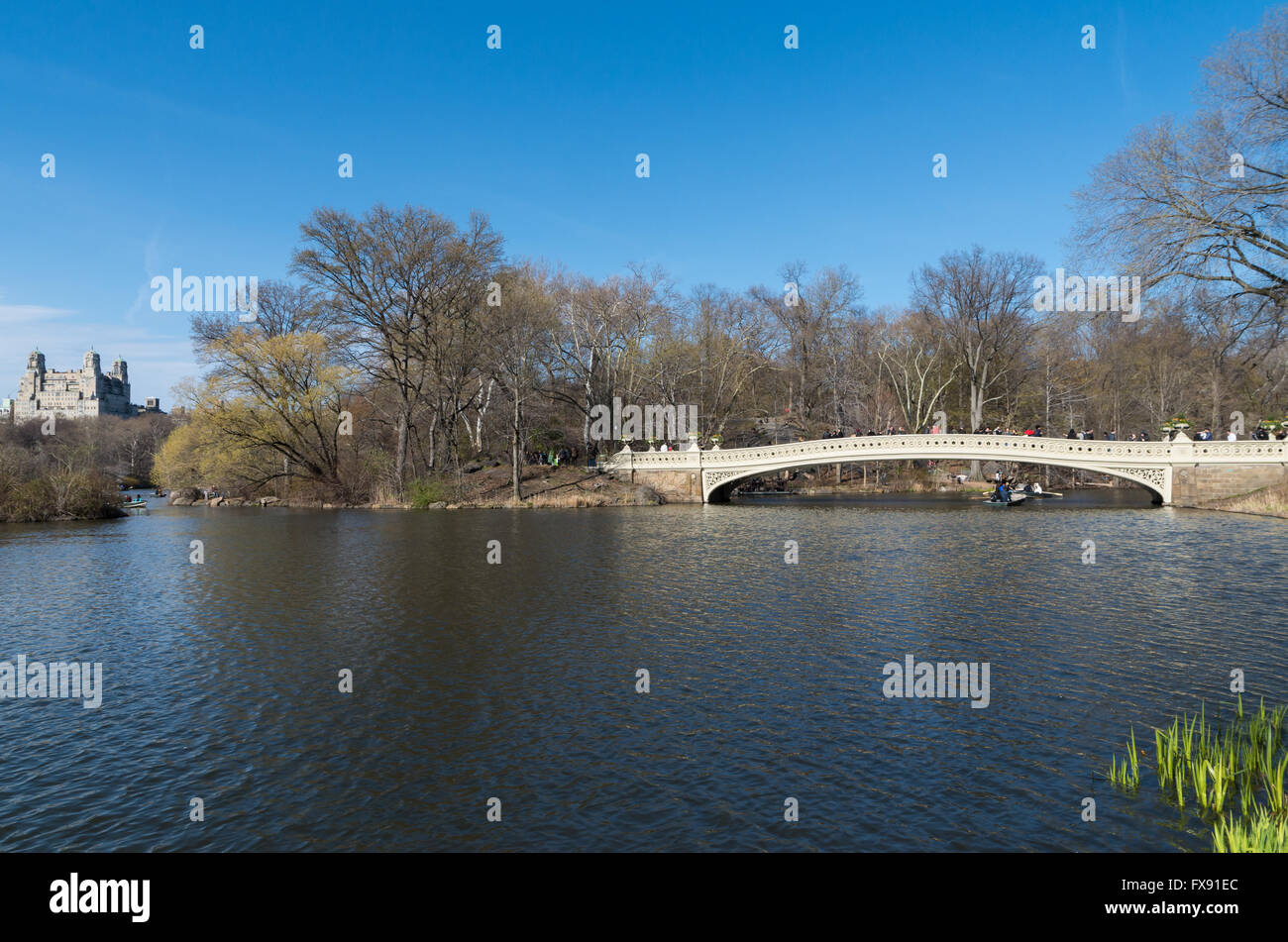 Bow Bridge across The Lake in Central Park, New York City in Spring ...
