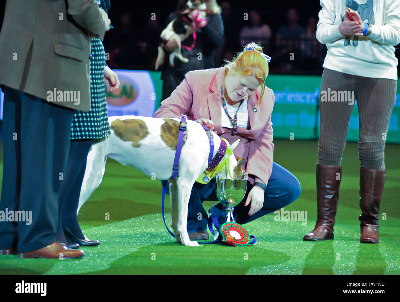 Crufts 2016 at NEC Birmingham - Day 3 Featuring: Bella, Helen Lewis ...