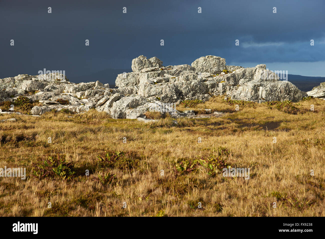 Outcrops of rock protruding through course grasses on Wireless Ridge ...