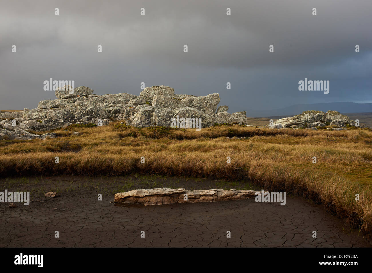 Outcrops of rock protruding through course grasses on Wireless Ridge ...