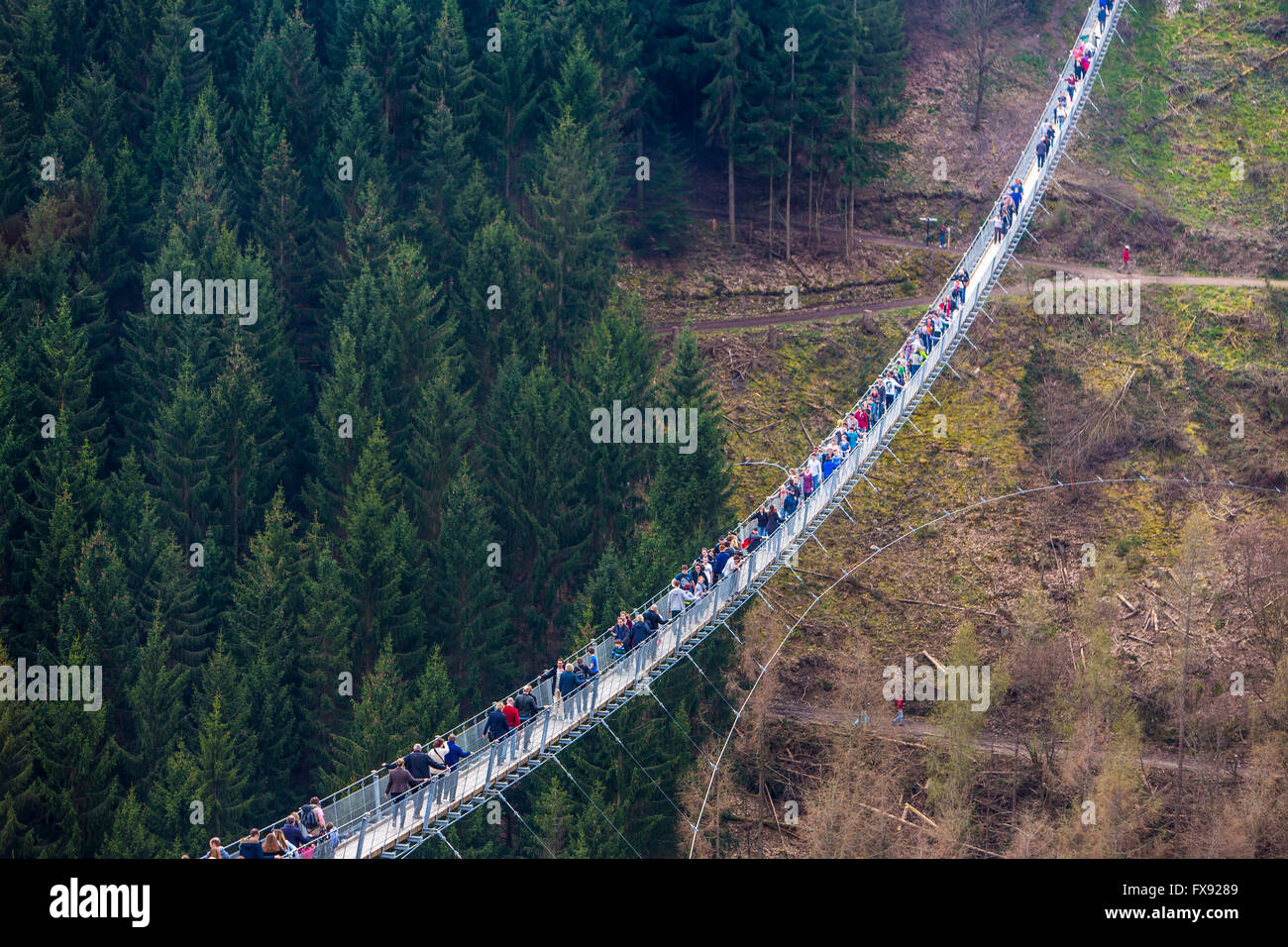 Suspension bridge Geierlay, between villages Mörsdorf and Sosberg, 360 ...