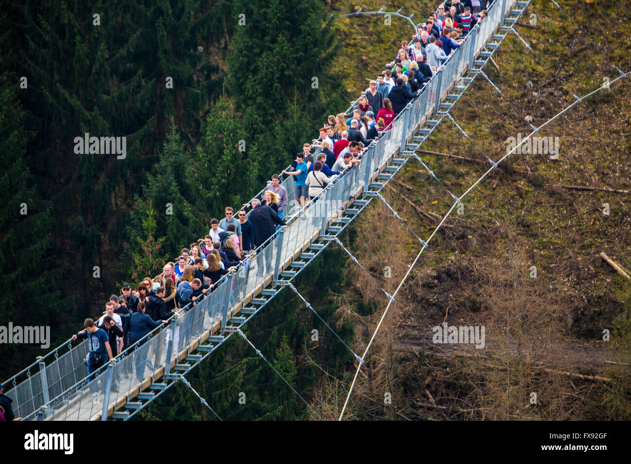 Suspension bridge Geierlay, between villages Mörsdorf and Sosberg, 360 ...