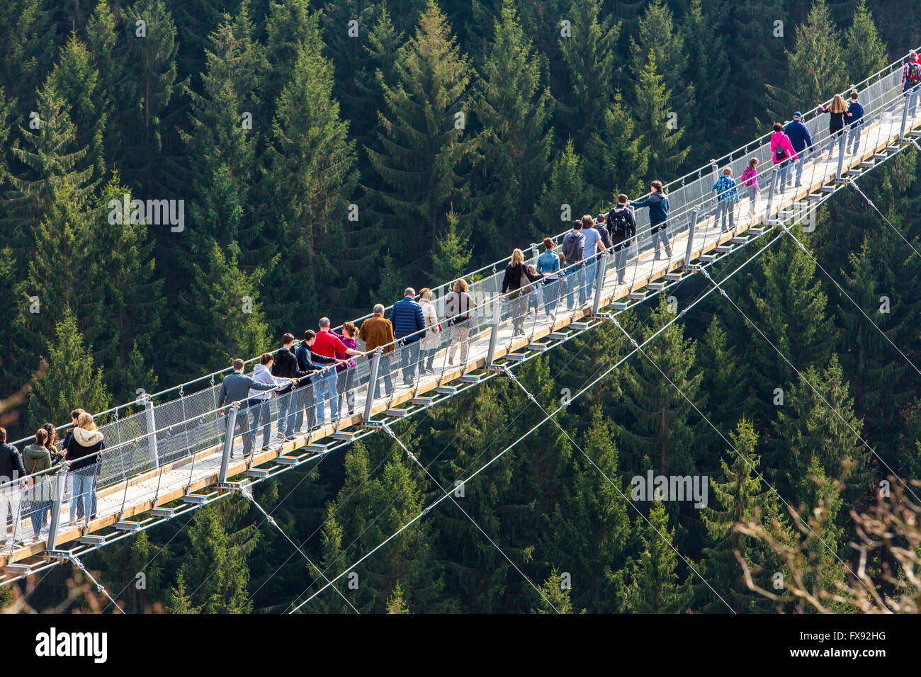 Suspension bridge Geierlay, between villages Mörsdorf and Sosberg, 360 ...