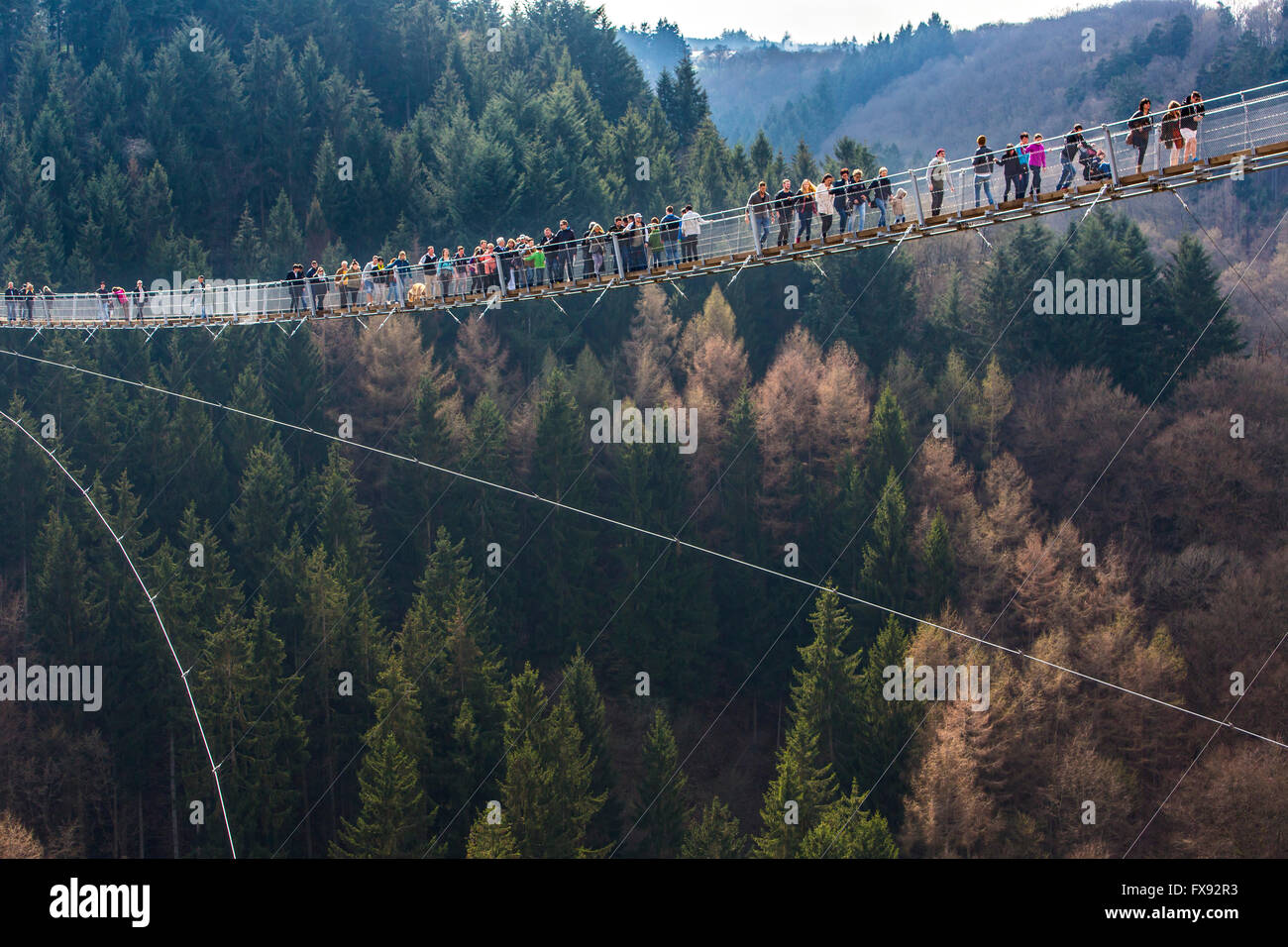 Suspension bridge Geierlay, between villages Mörsdorf and Sosberg, 360 ...