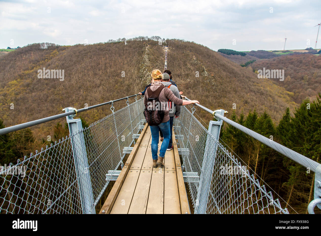 Suspension bridge Geierlay, between villages Mörsdorf and Sosberg, 360 ...