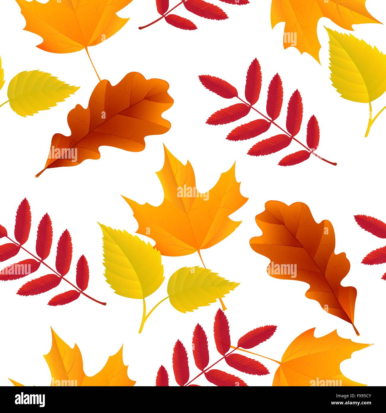 Autumn pattern oak maple Stock Vector Images - Alamy