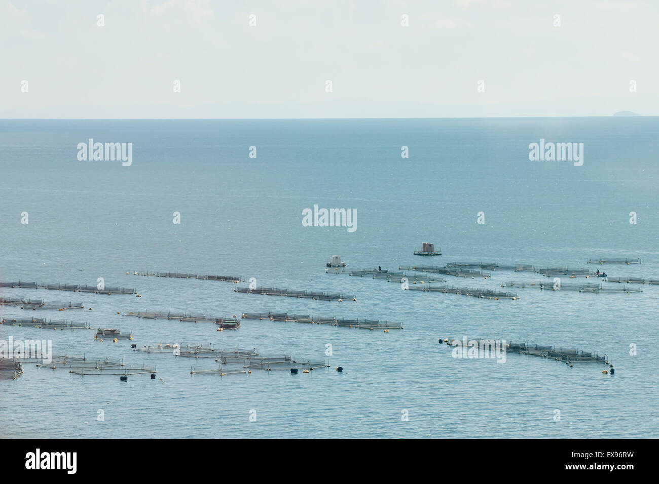 Trout Fish Farm - Lake Titicaca - Peru Stock Photo - Alamy
