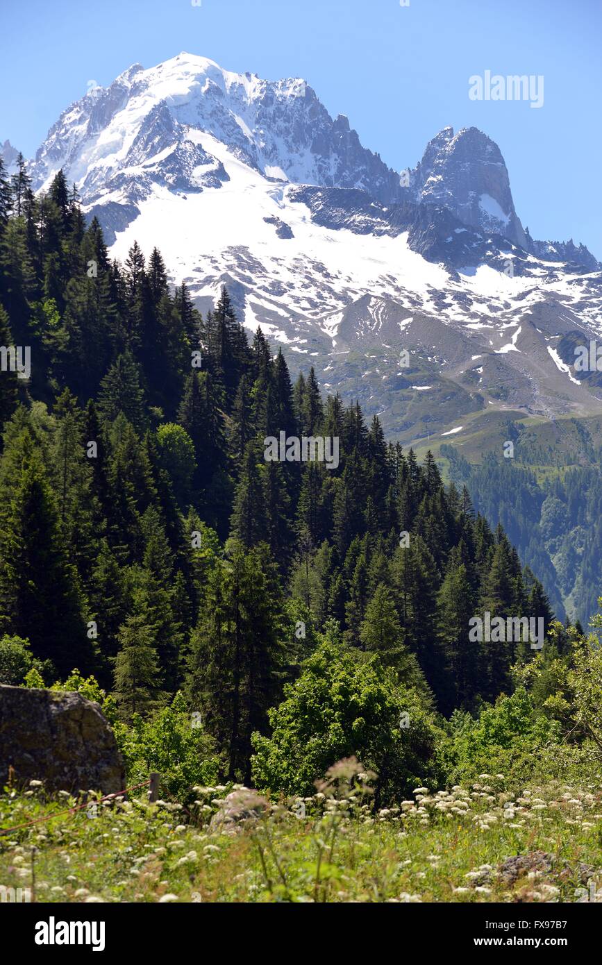The Graian Alps seen from Argentiere Stock Photo - Alamy