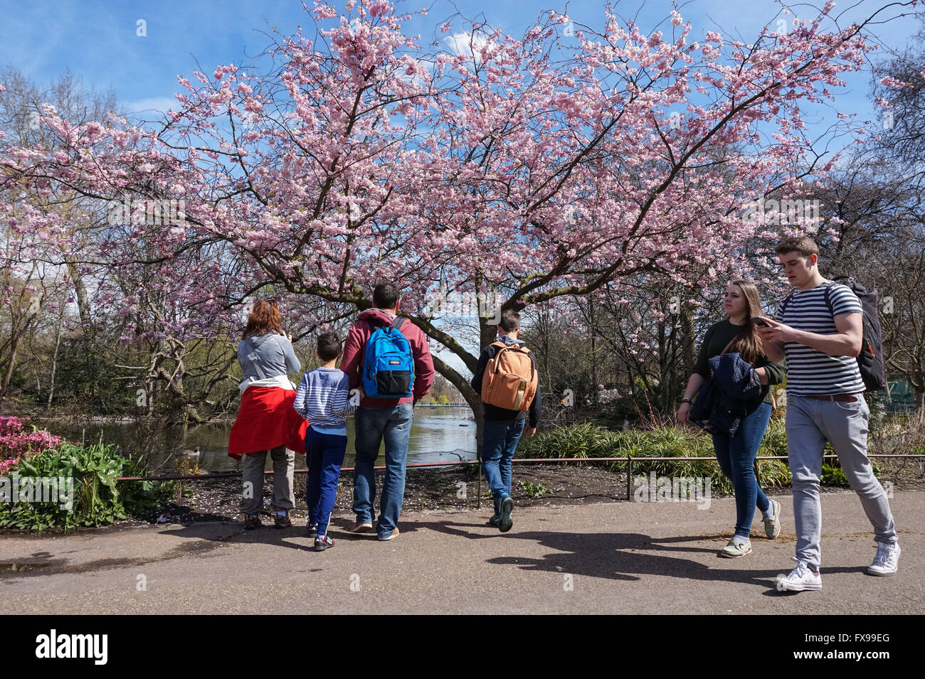 People enjoying spring weather in St James's Park, London England ...