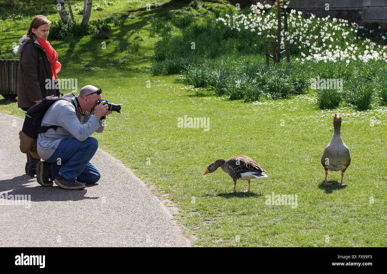 People enjoying spring weather in St James's Park, London England ...