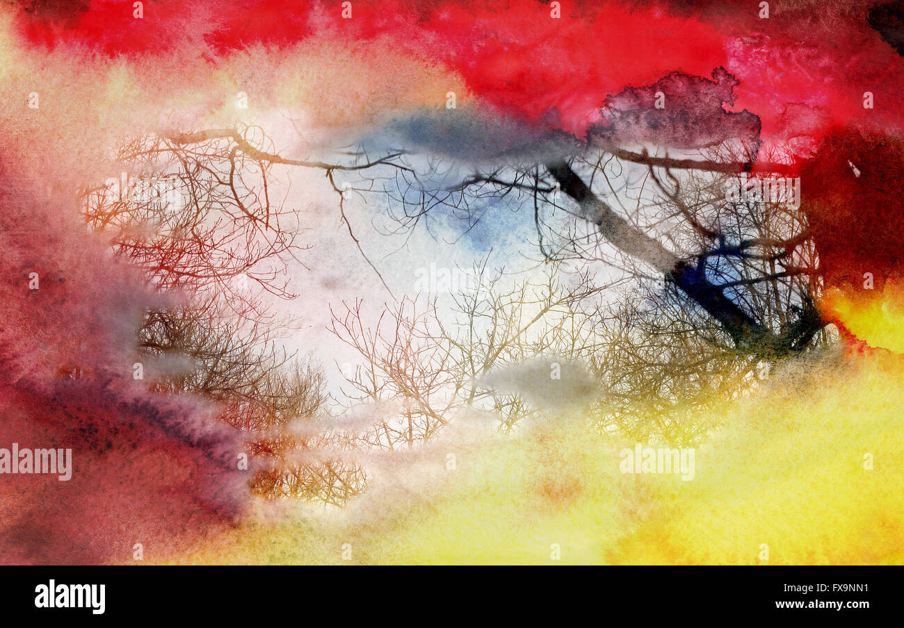 Beautiful spring forest with abstract background is reflected in a ...