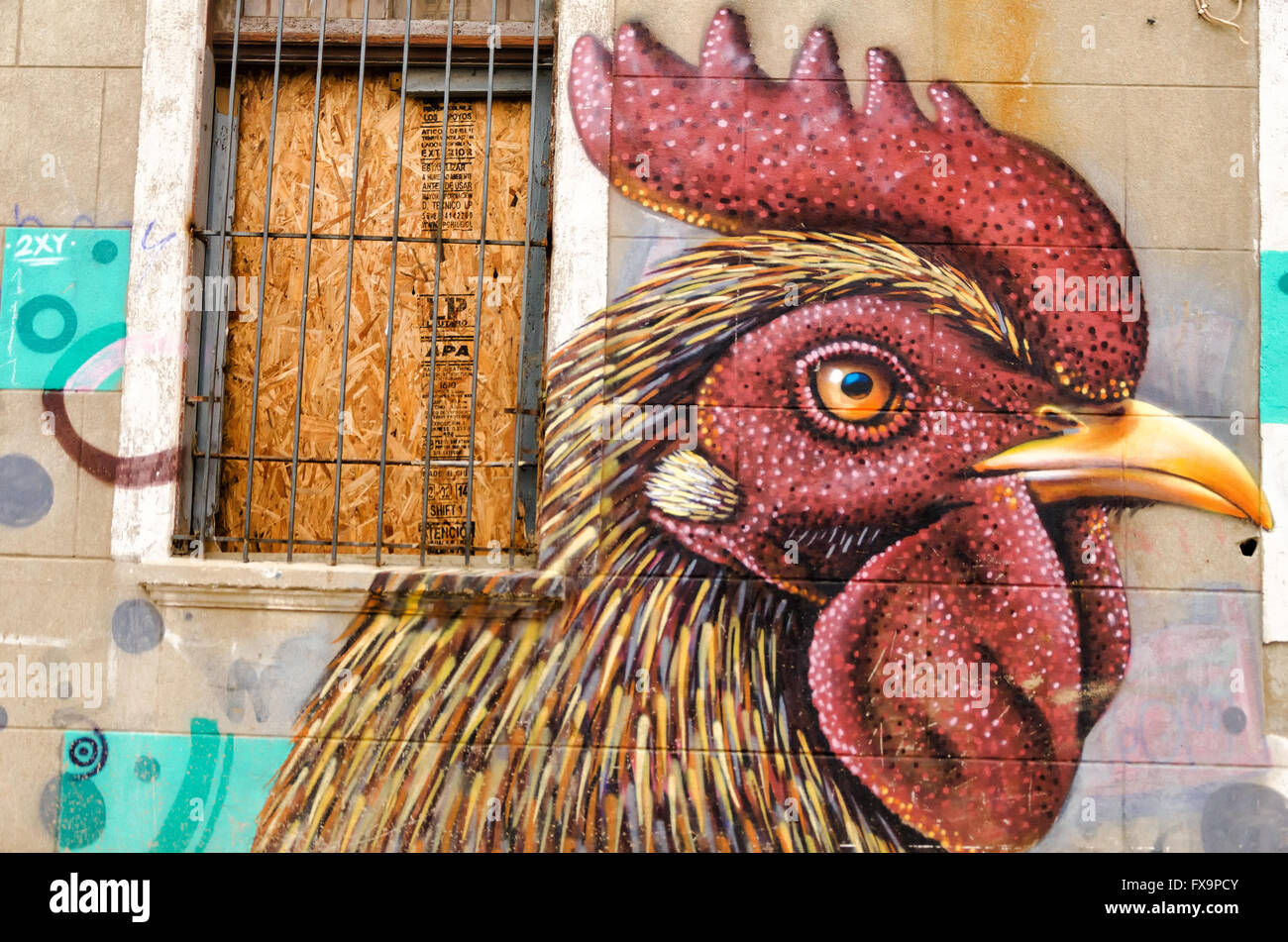 VALPARAISO, CHILE - MAY 28: Mural of a rooster on a wall in Valparaiso ...