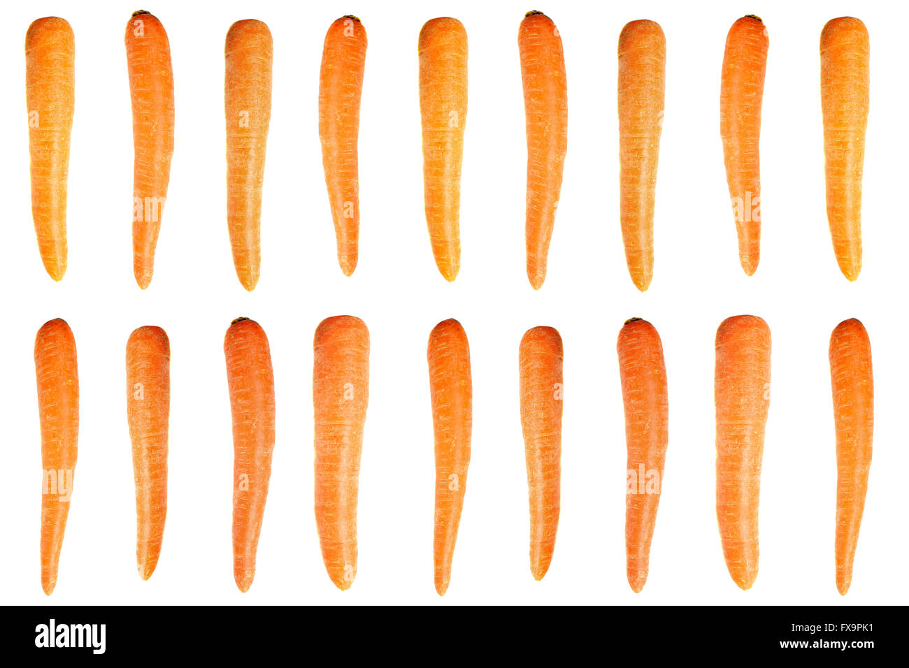 Rows of carrots photographed against a white background Stock Photo - Alamy