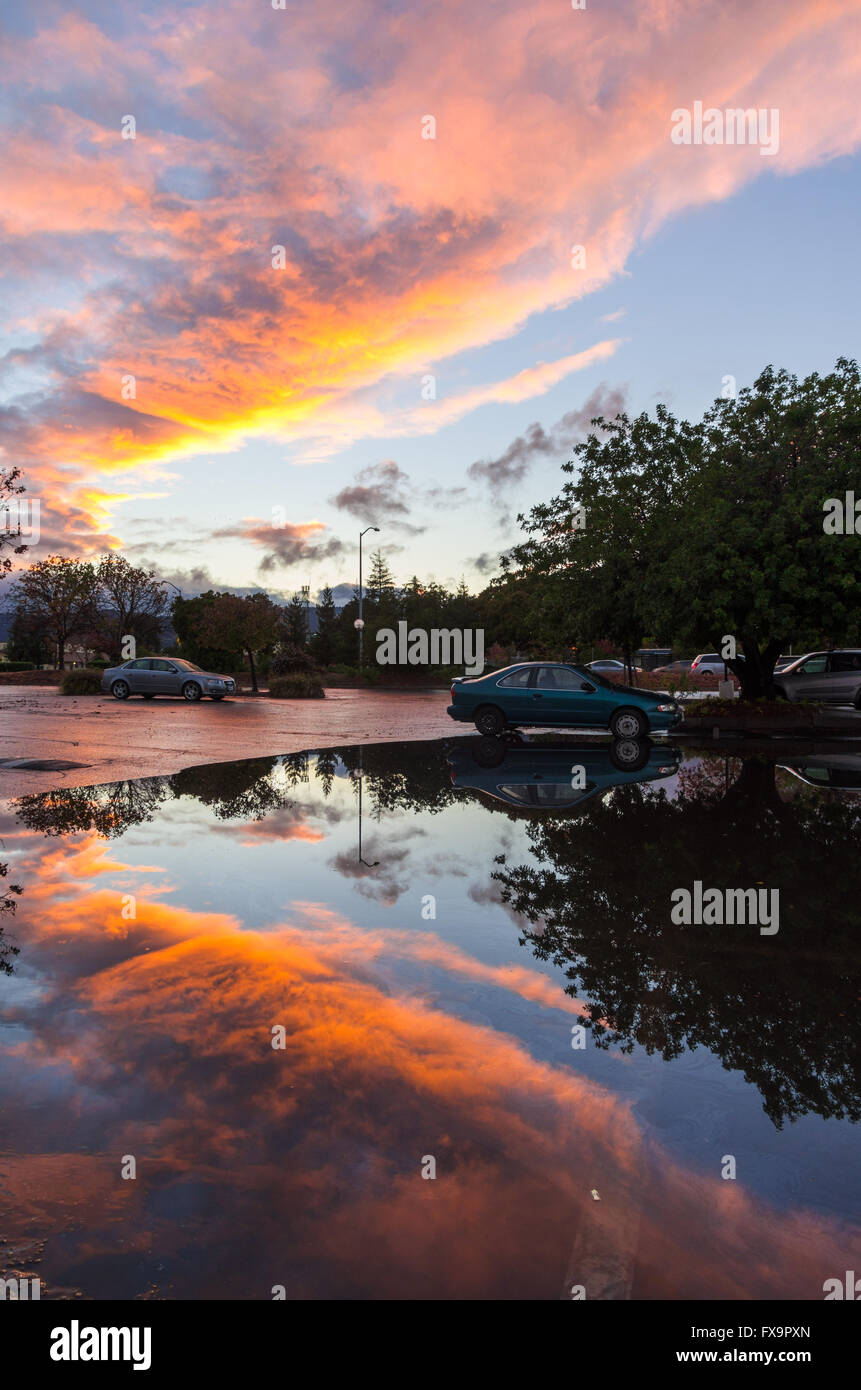 Reflection after the rain Stock Photo - Alamy
