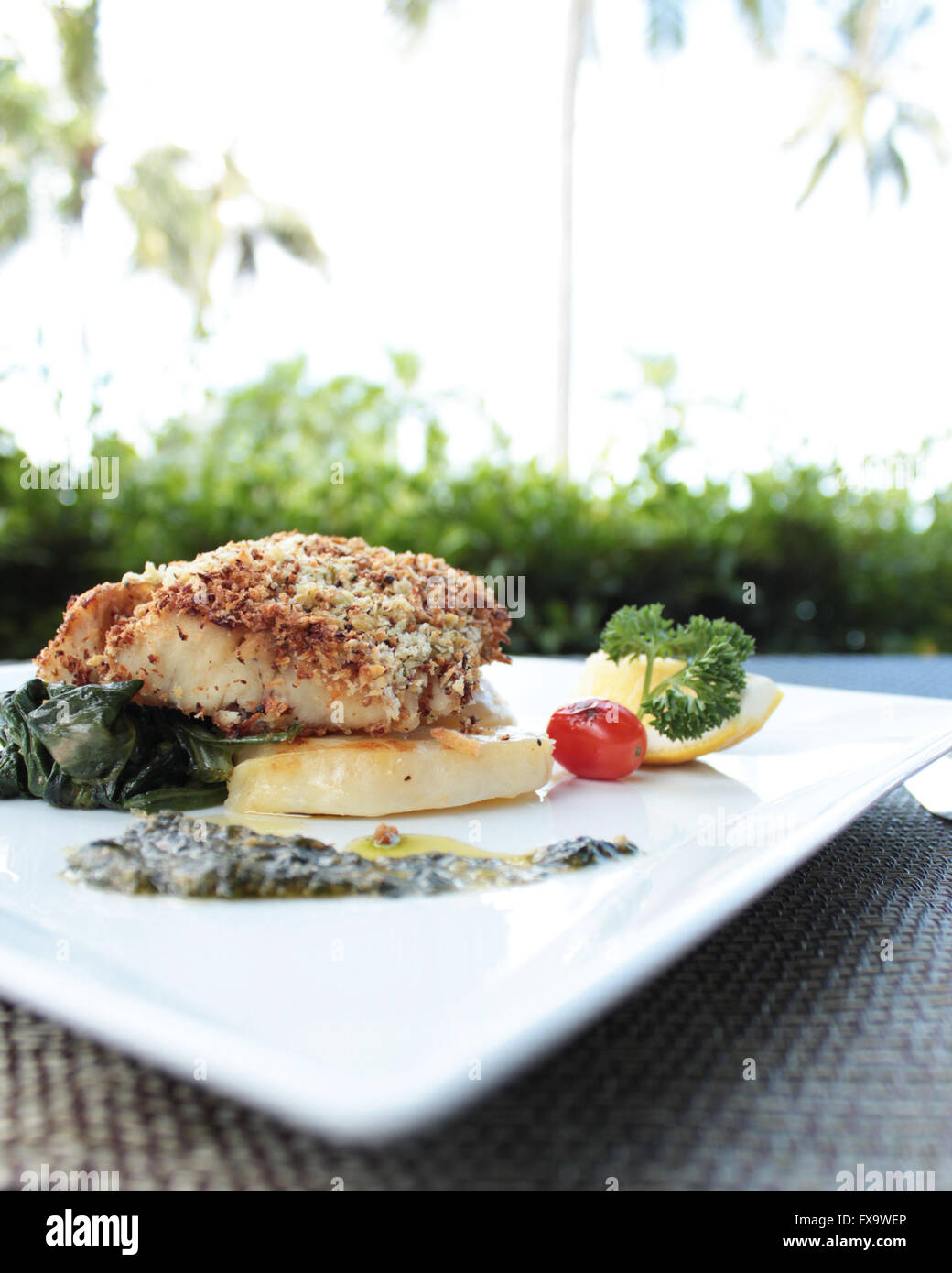 Snapper fillet hi-res stock photography and images - Alamy