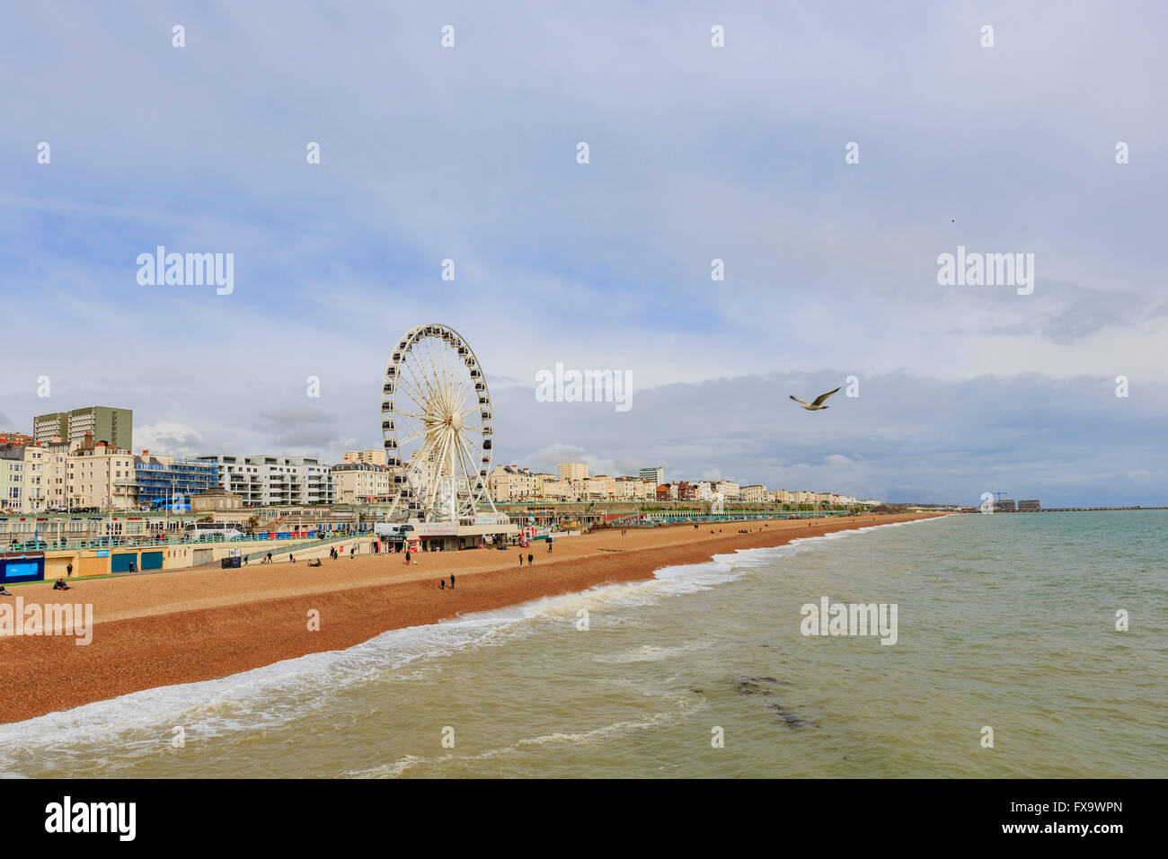 A view of the beach in brighton hi-res stock photography and images - Alamy