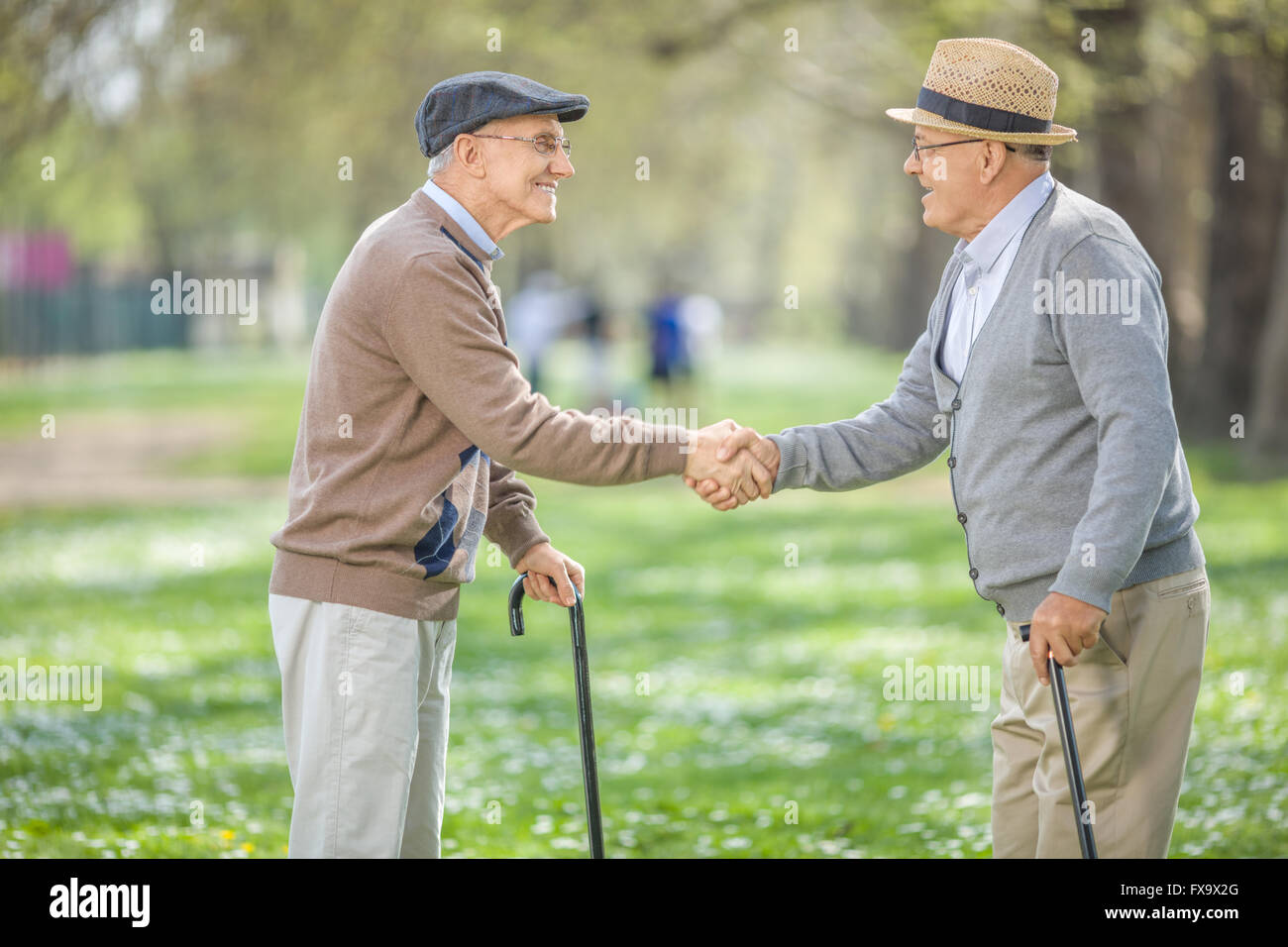 Two old friends meeting in park and shaking hands on a beautiful spring ...