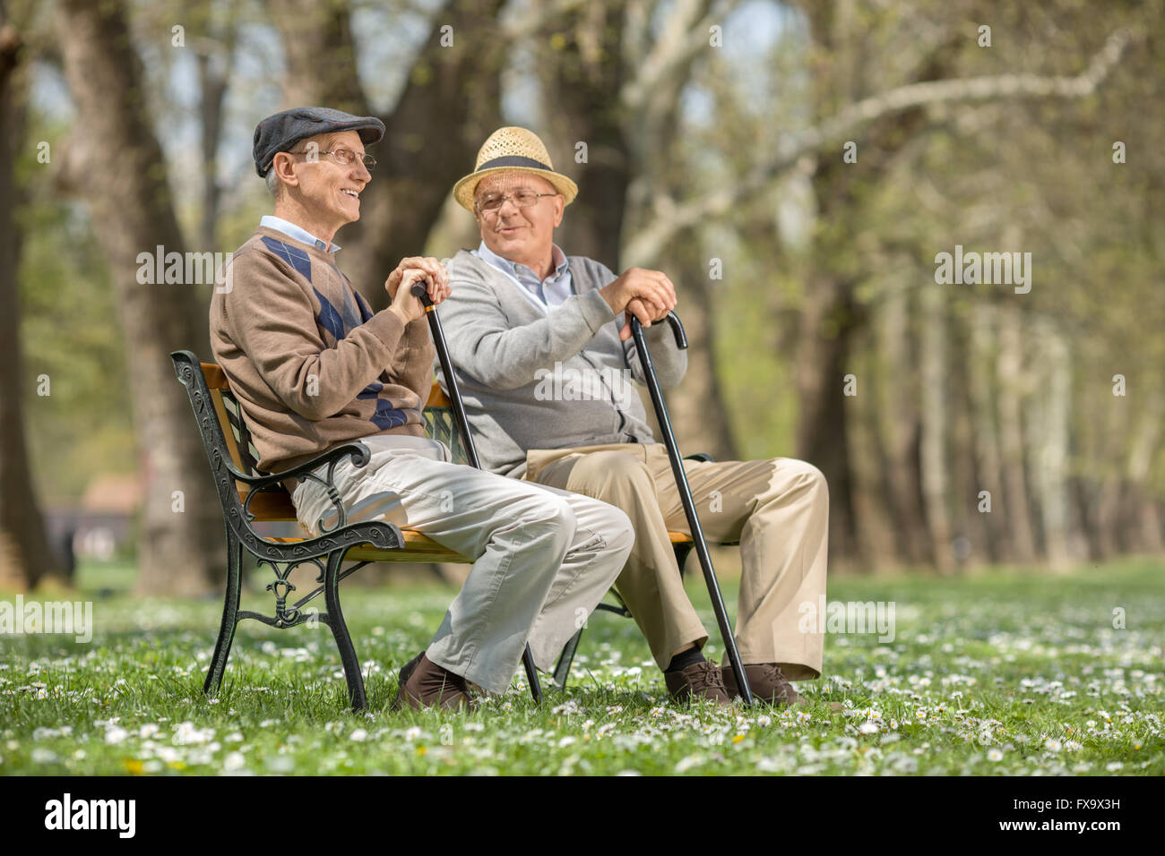 Two old friends sitting on a wooden bench in park and talking to each ...