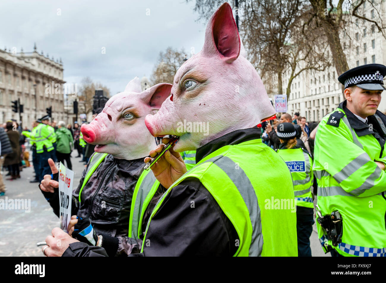Demonstrators Wearing Pig Masks Call For The Resignation Of Prime ...