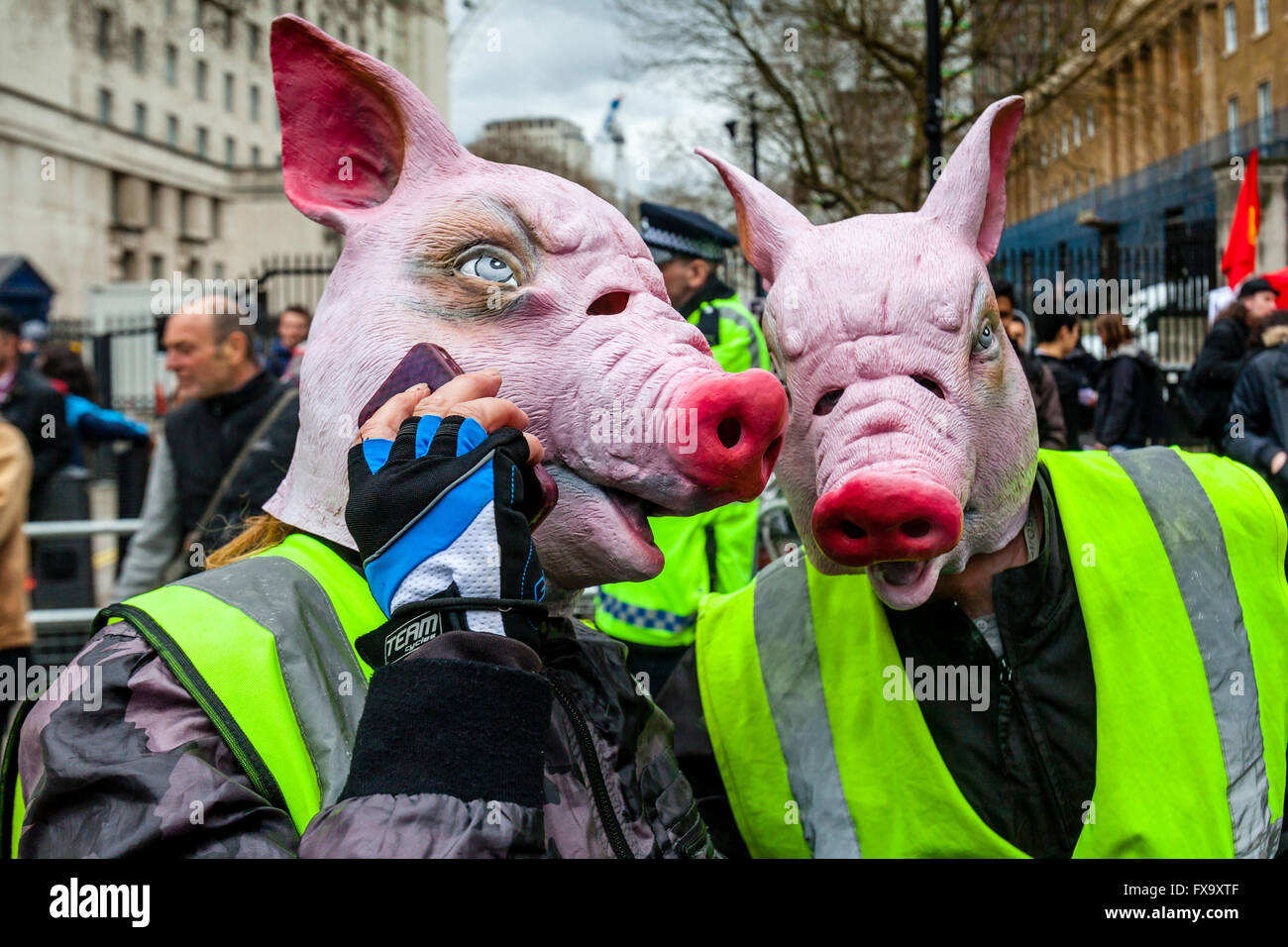 Pig wing hi-res stock photography and images - Alamy