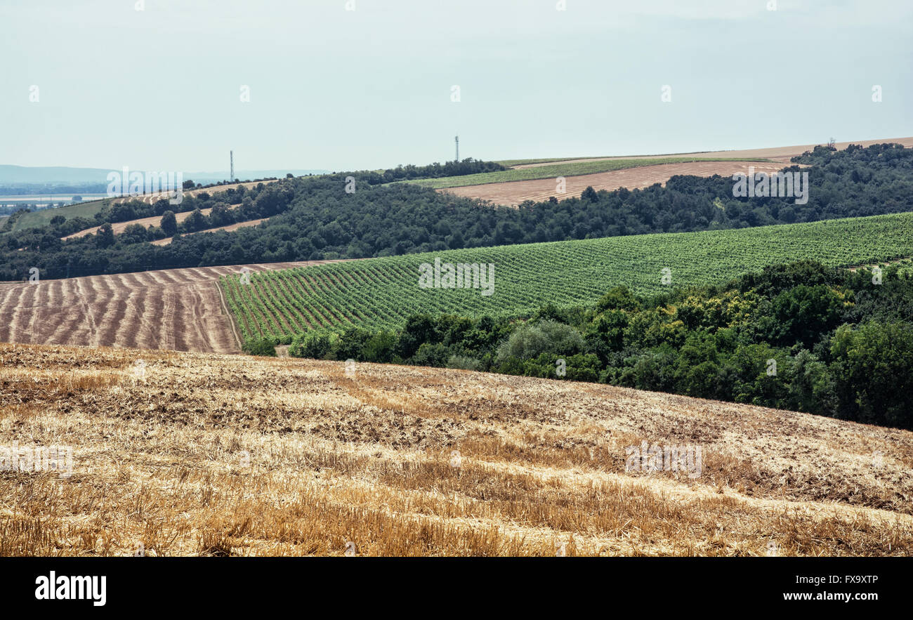 Fields and forests. Cultivated land. Agricultural landscape Stock Photo ...