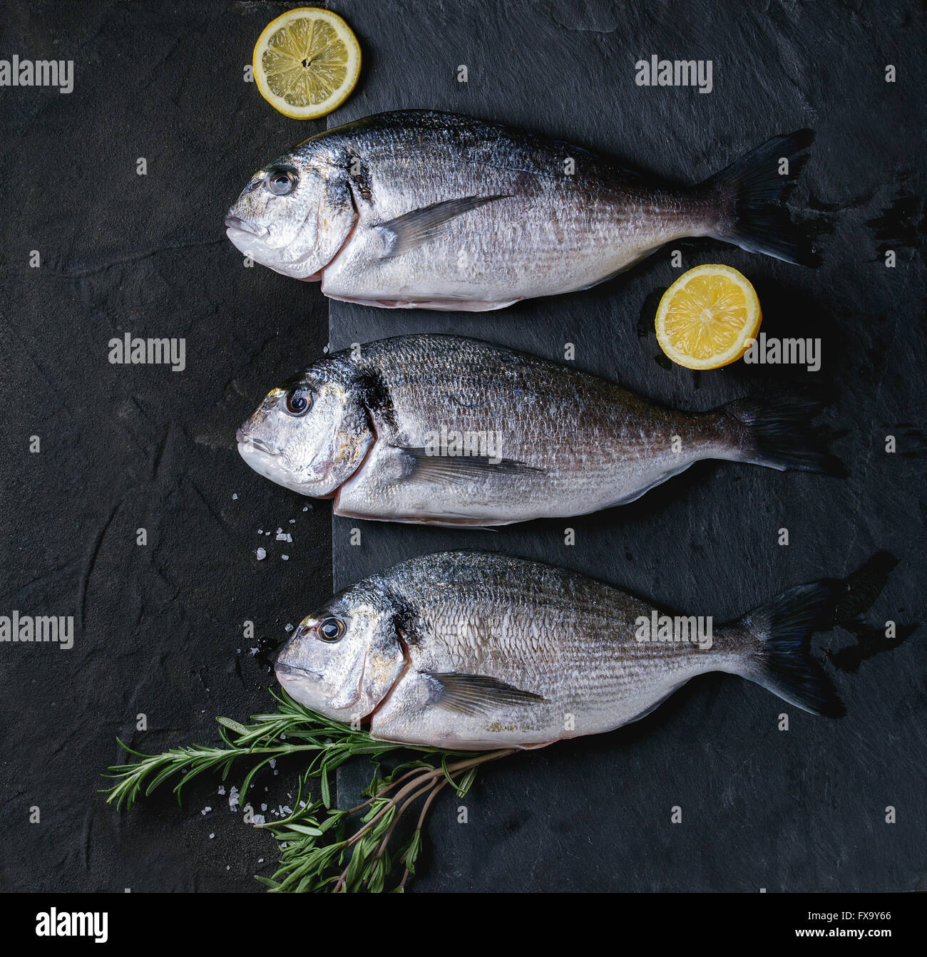 Black bream hi-res stock photography and images - Alamy