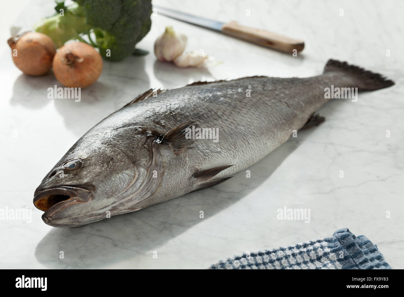 Corvina fish hi-res stock photography and images - Alamy