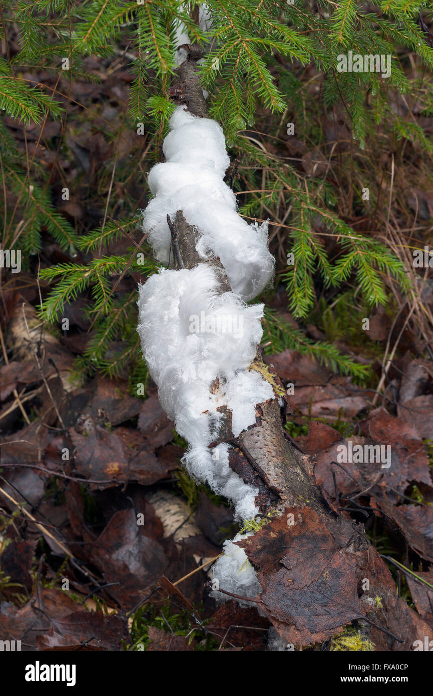 Ice hair frost beard hi-res stock photography and images - Alamy
