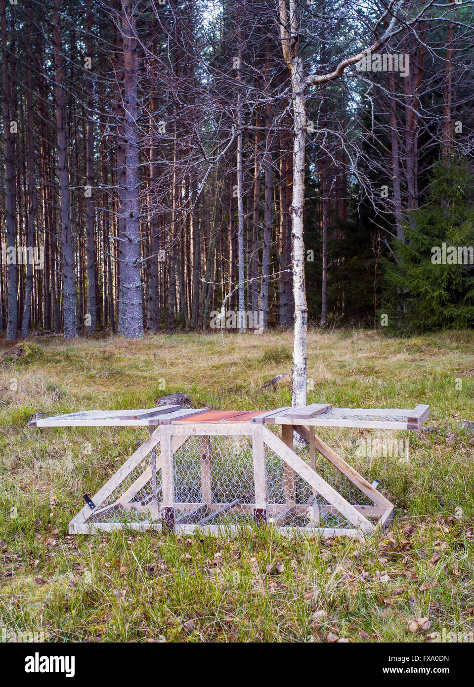 Bird trap hi-res stock photography and images - Alamy