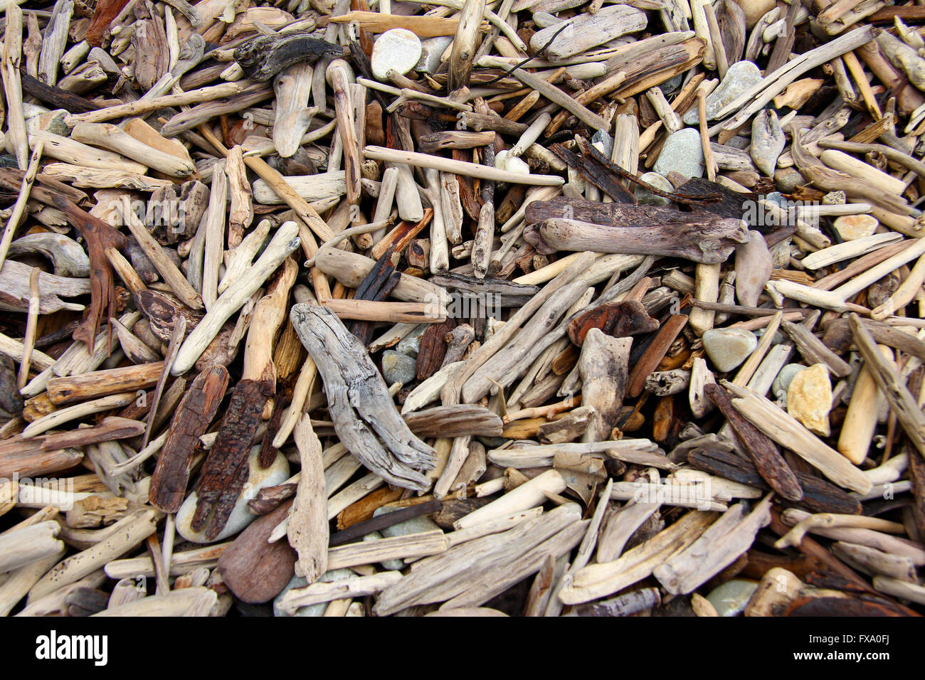 drift wood on beach Stock Photo - Alamy