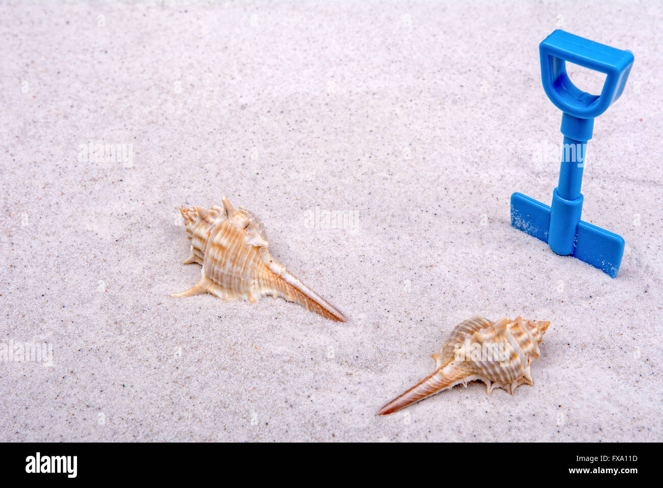 Sand shells on blue hi-res stock photography and images - Alamy