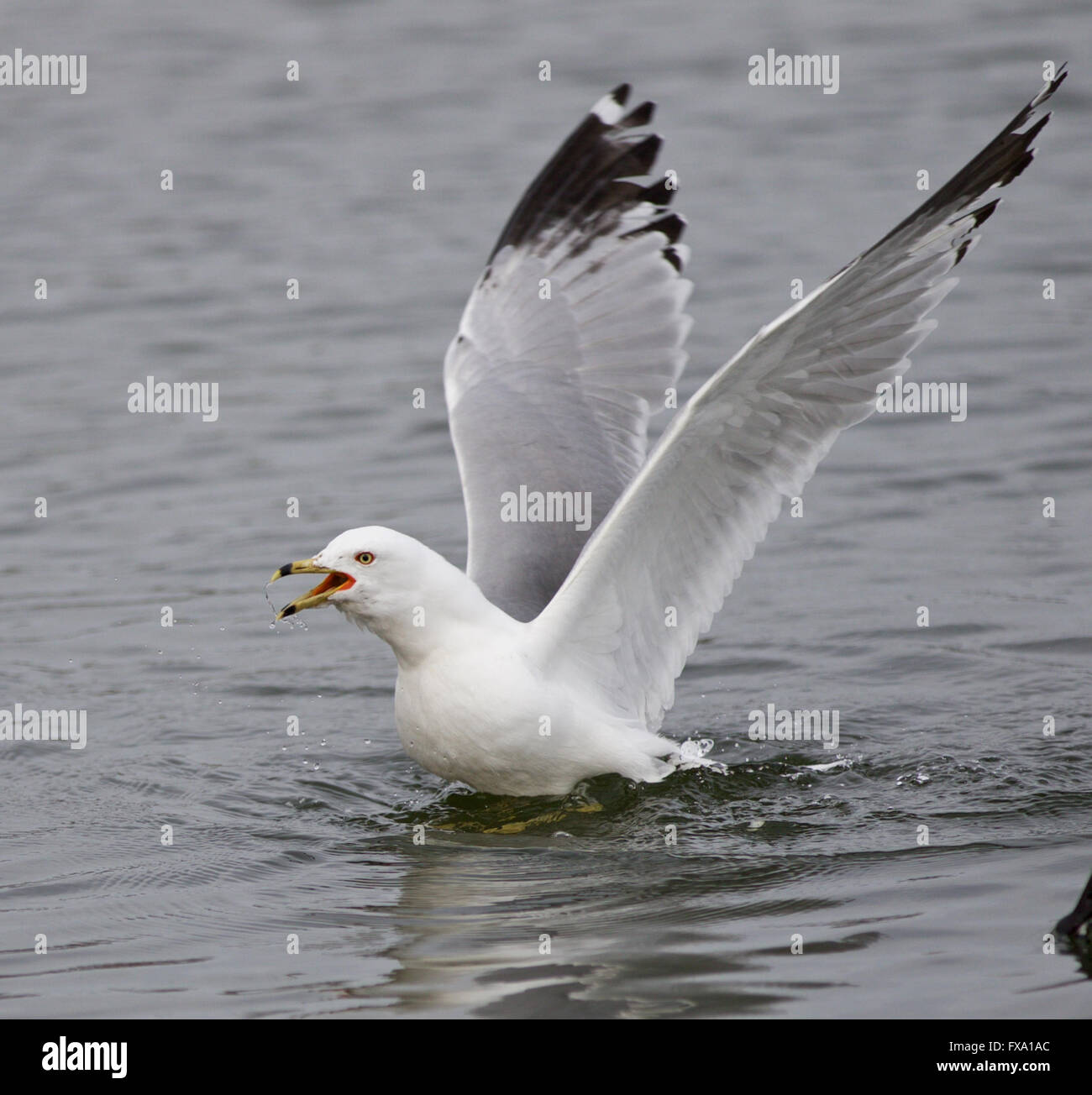 Emotional image hi-res stock photography and images - Alamy