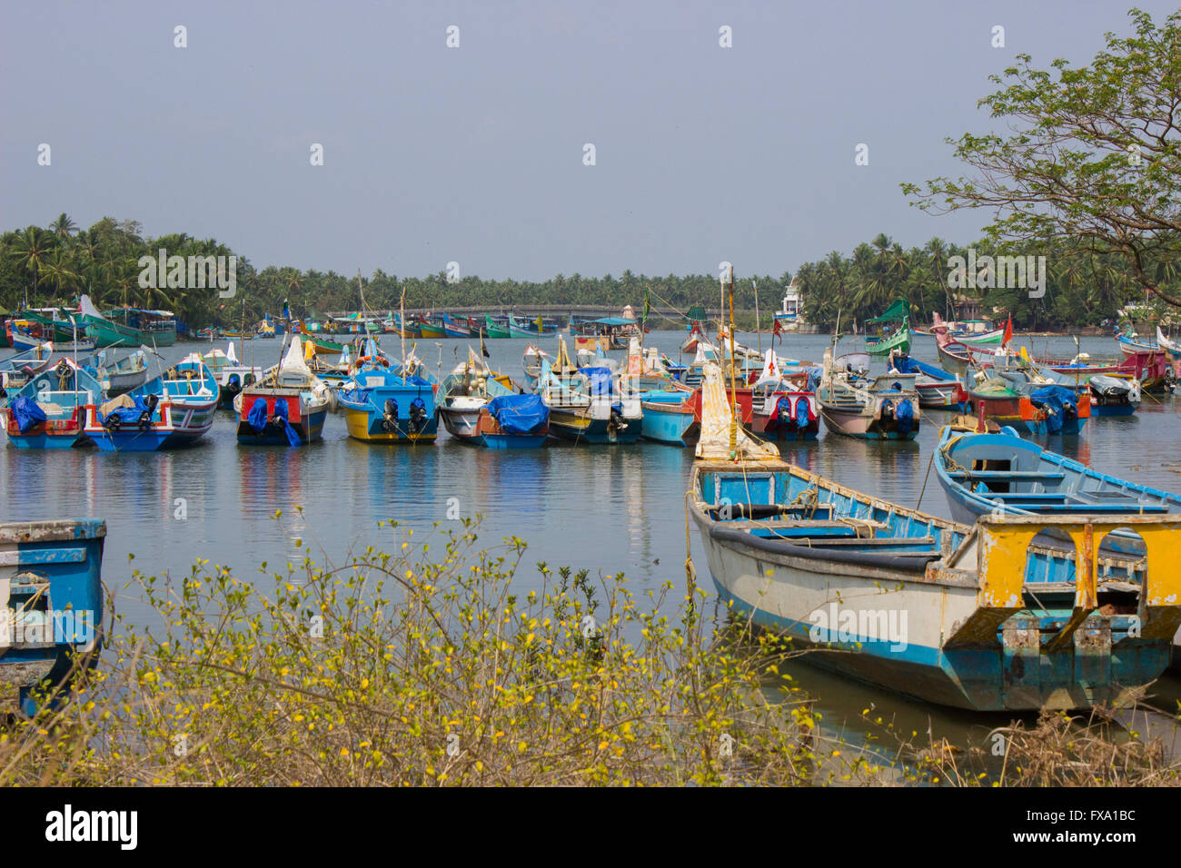 Chaliyam Fishing Centre in Kerala Stock Photo - Alamy