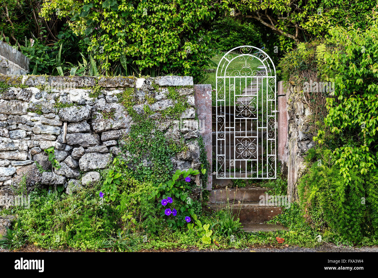Garden gate into a mysterious secret garden Stock Photo - Alamy