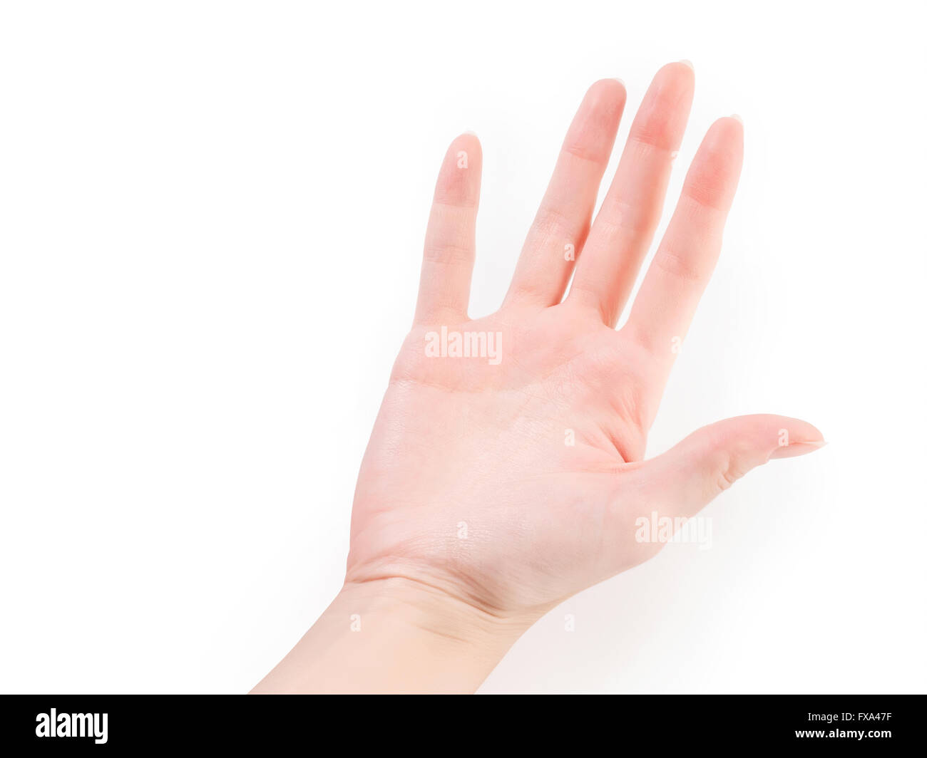 First Person View Hands